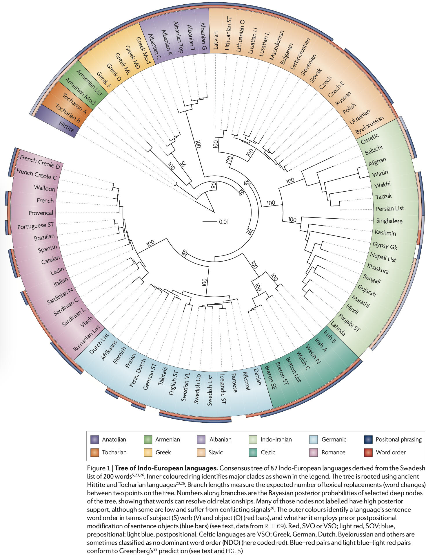 Is language a replicator? - International Cognition and Culture Institute